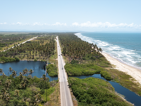 FALCON-17 – 2 Locos Store